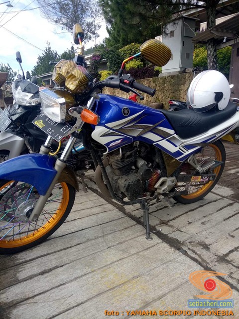 Mengapa harga bekas Scorpio steko lebih tinggi dibandingkan Stebo dan ...