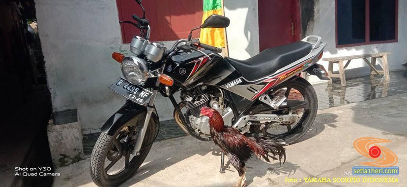 Mengapa harga bekas Scorpio steko lebih tinggi dibandingkan Stebo dan ...