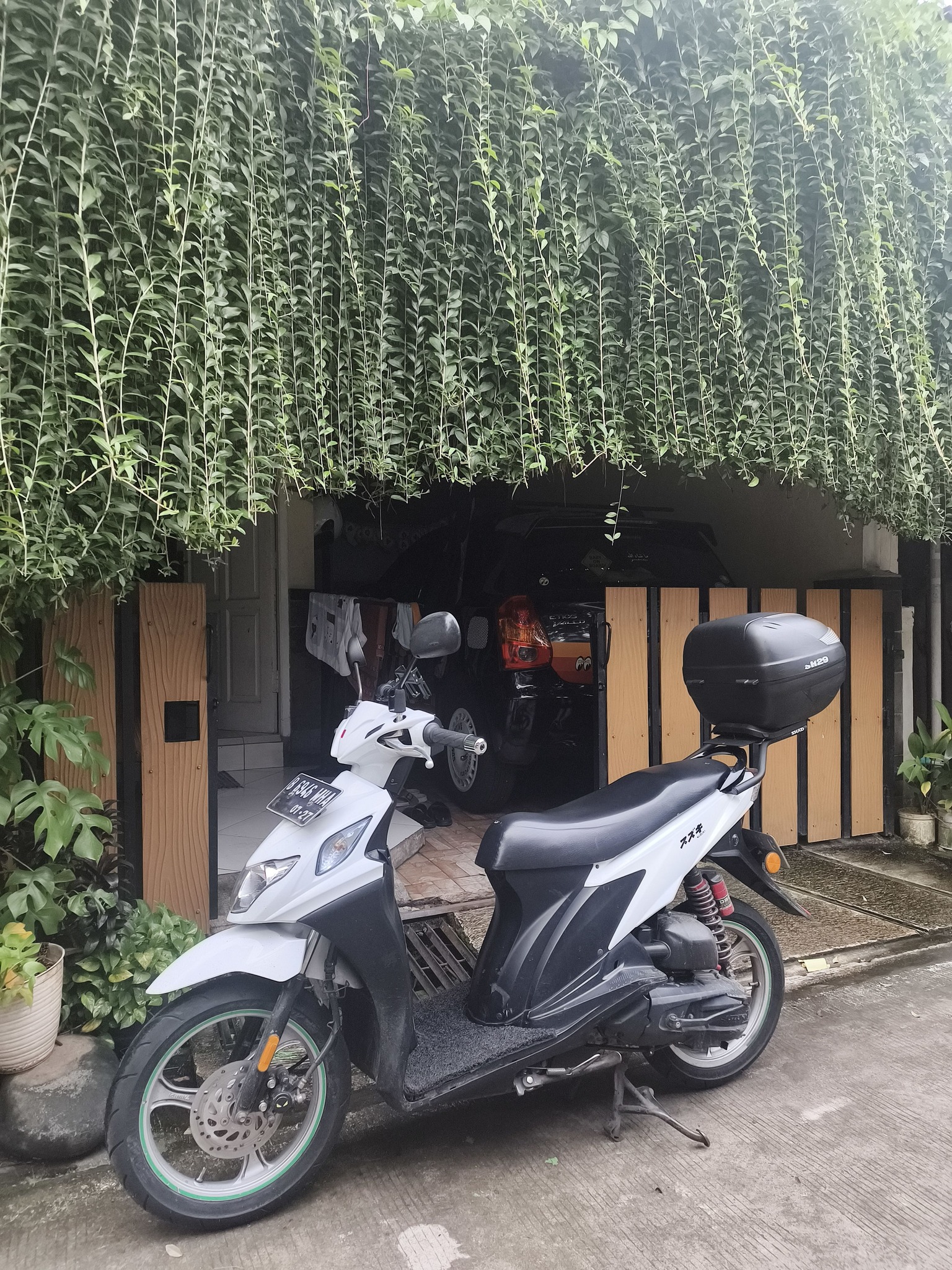 Rekomendasi Motor Matic 7–8 Juta untuk Bapak Rumah Tangga, ke Pasar ...